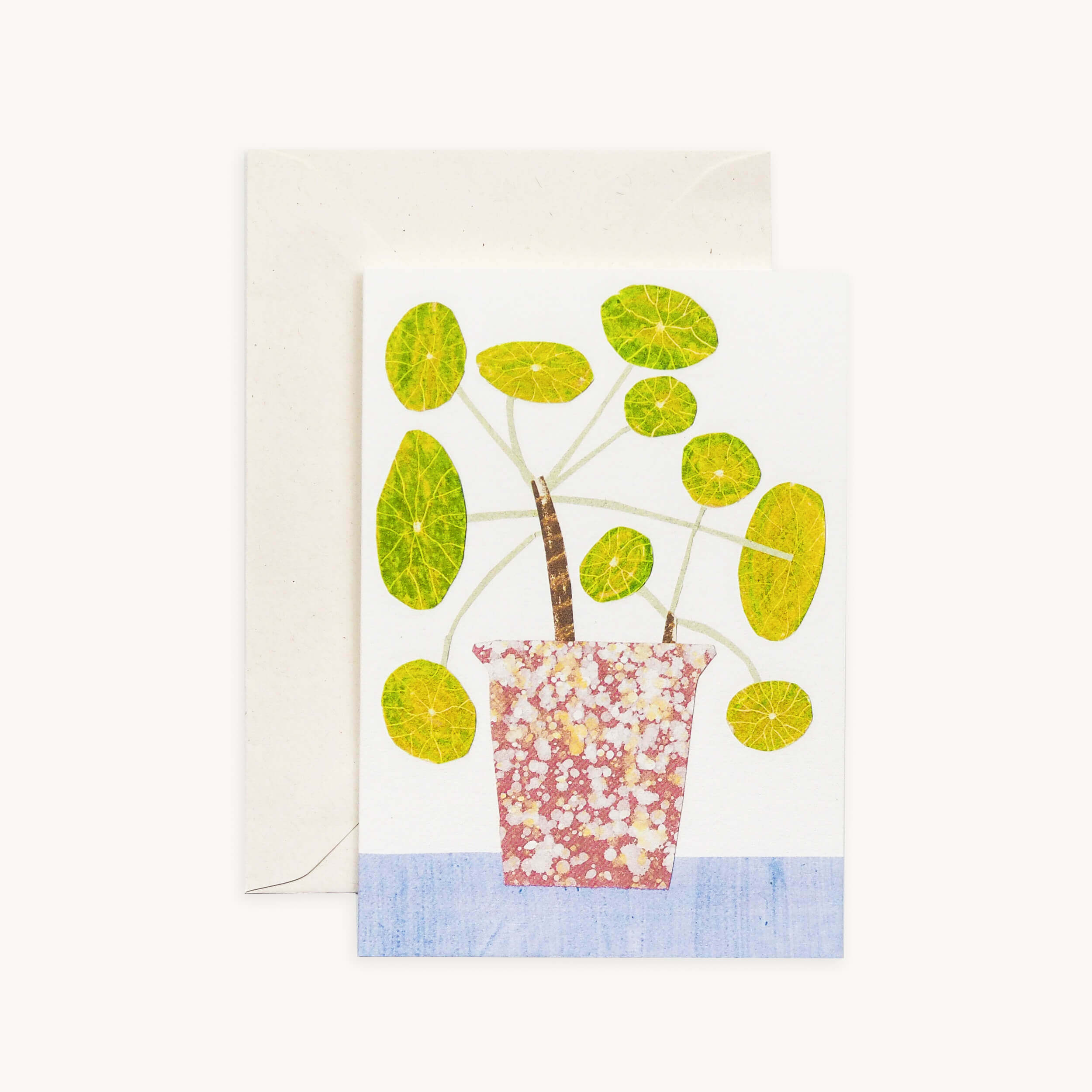 Pilea Pepermioides - Bobble Plant Card – Hadley Paper Goods Wholesale